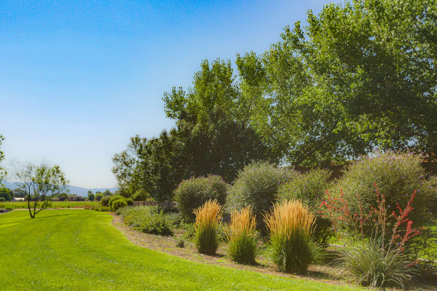 Smarter Irrigation with Thrive | Wireless Valve Solutions